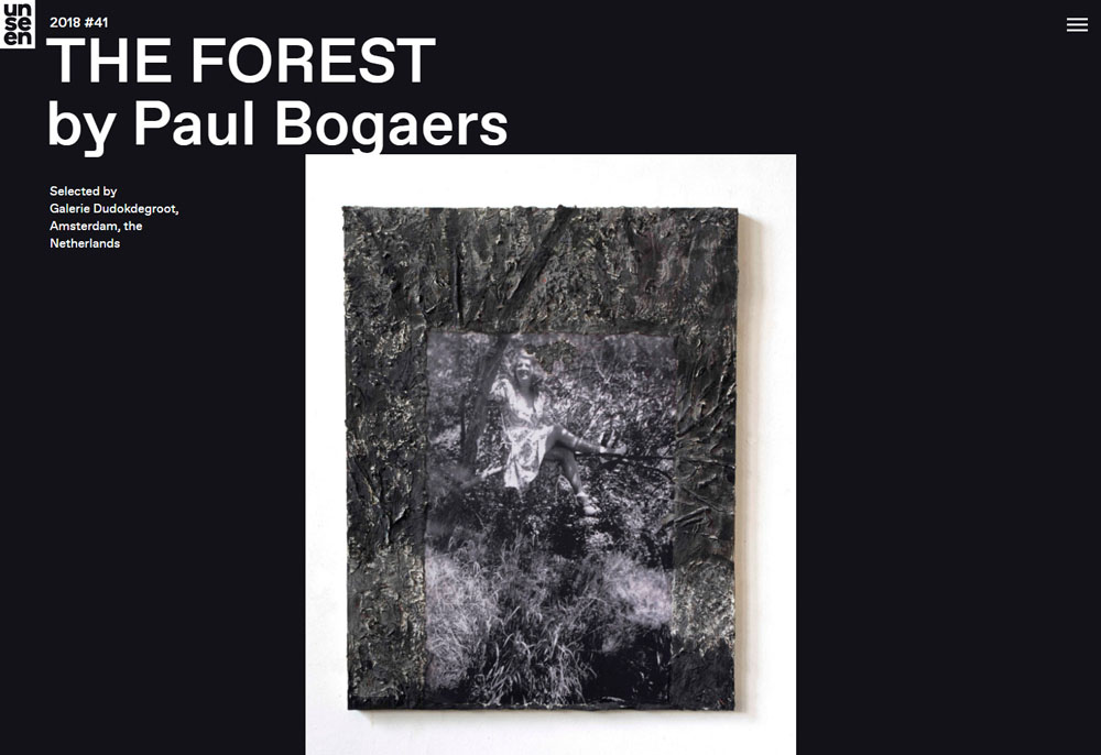 Paul Bogaers